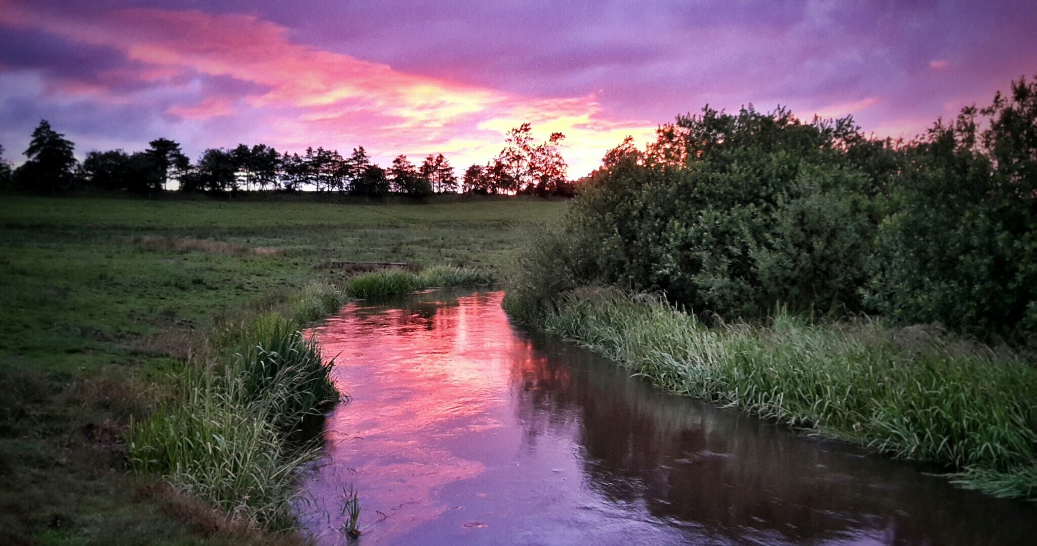 Daylight fading, and big black spots. - Riverfisher